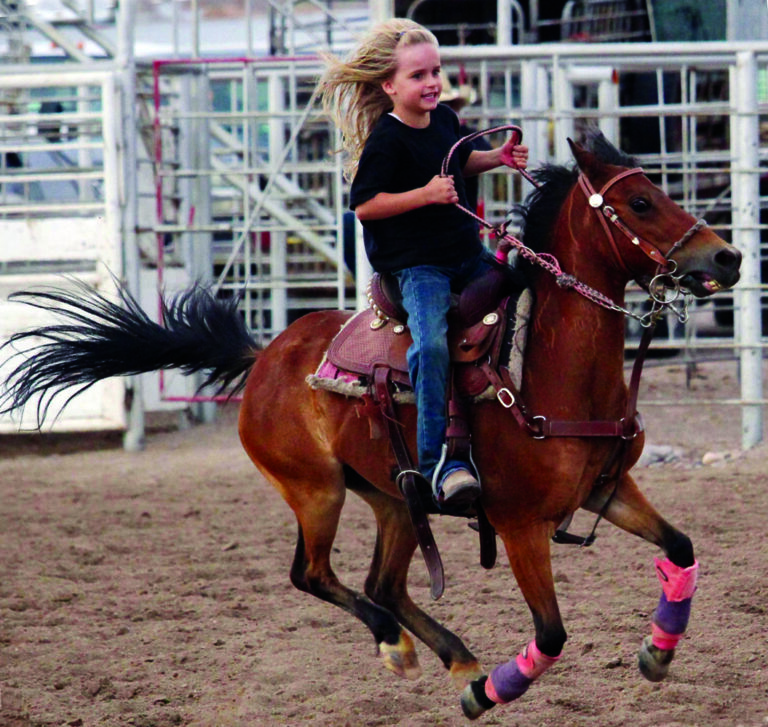 Greenlee County Fairgrounds – Town of Duncan